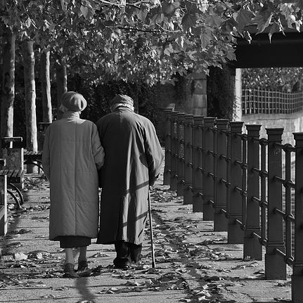 Tallahassee Personal Injury Lawyer Amber Hall | Profile | Personal Injury